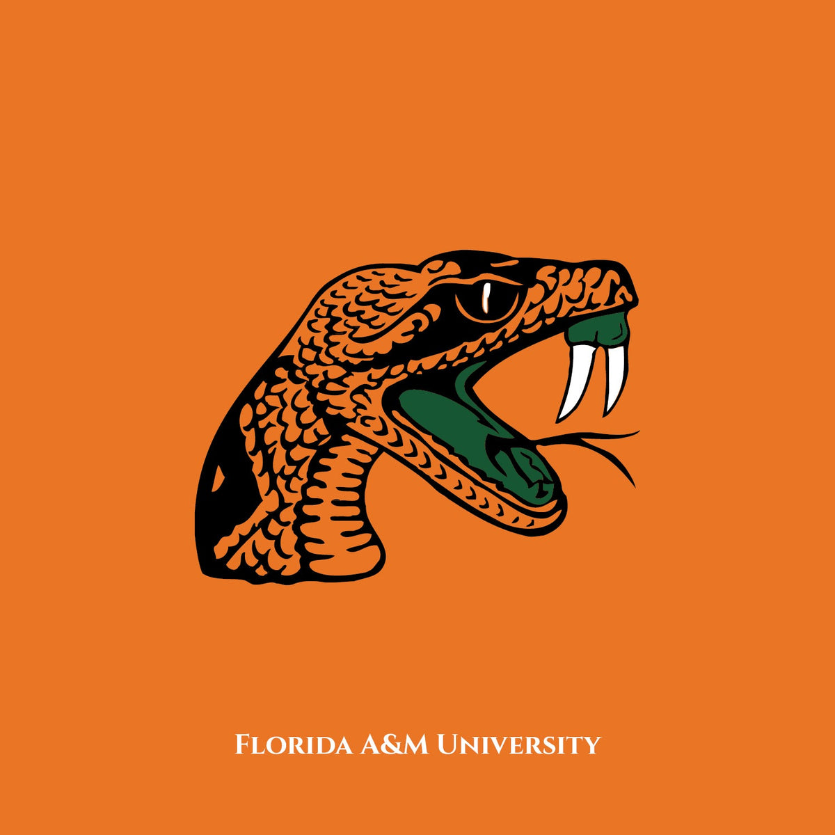 FAMU Hats & Apparel – DungeonForward