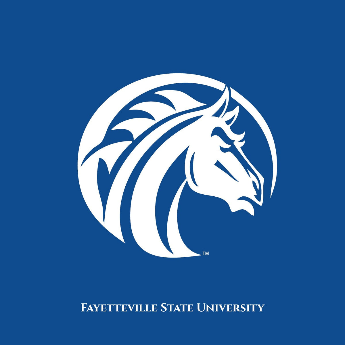 The Yard - Fayetteville State University – DungeonForward