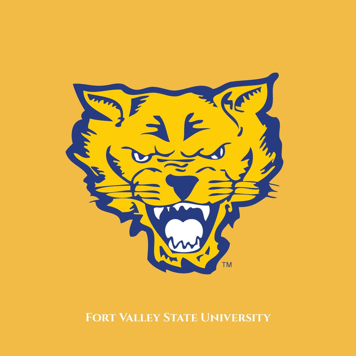 The Yard - Fort Valley State University – DungeonForward