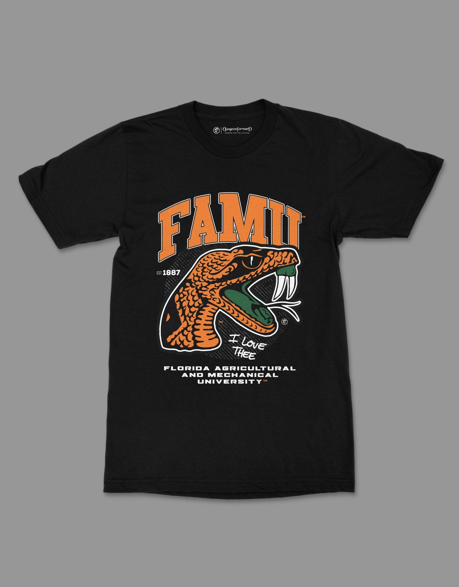 The Yard Essentials - Florida A&M University - FAMU Tshirt – DungeonForward