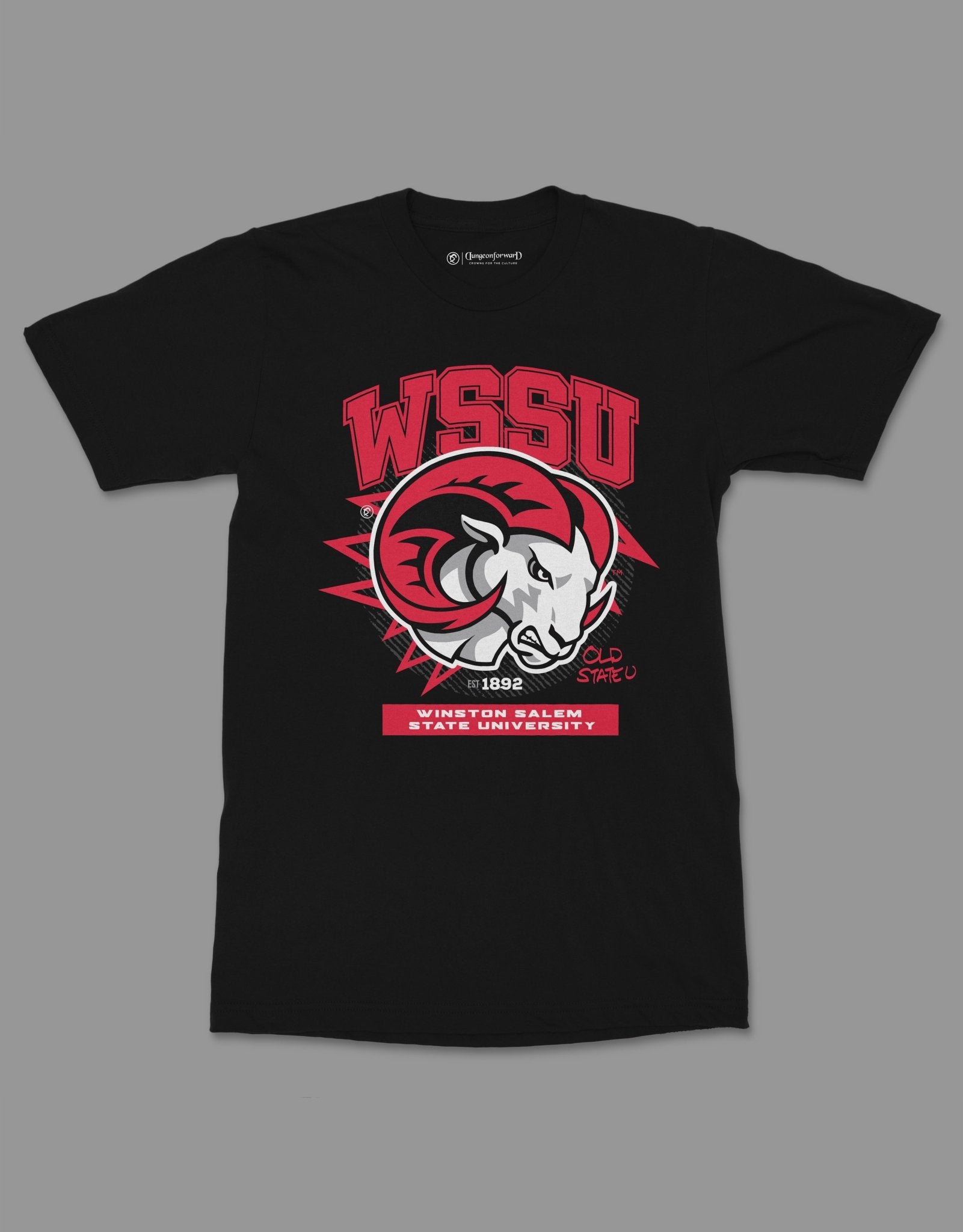 The Yard Essentials - Winston Salem State University - WSSU Tshirt ...