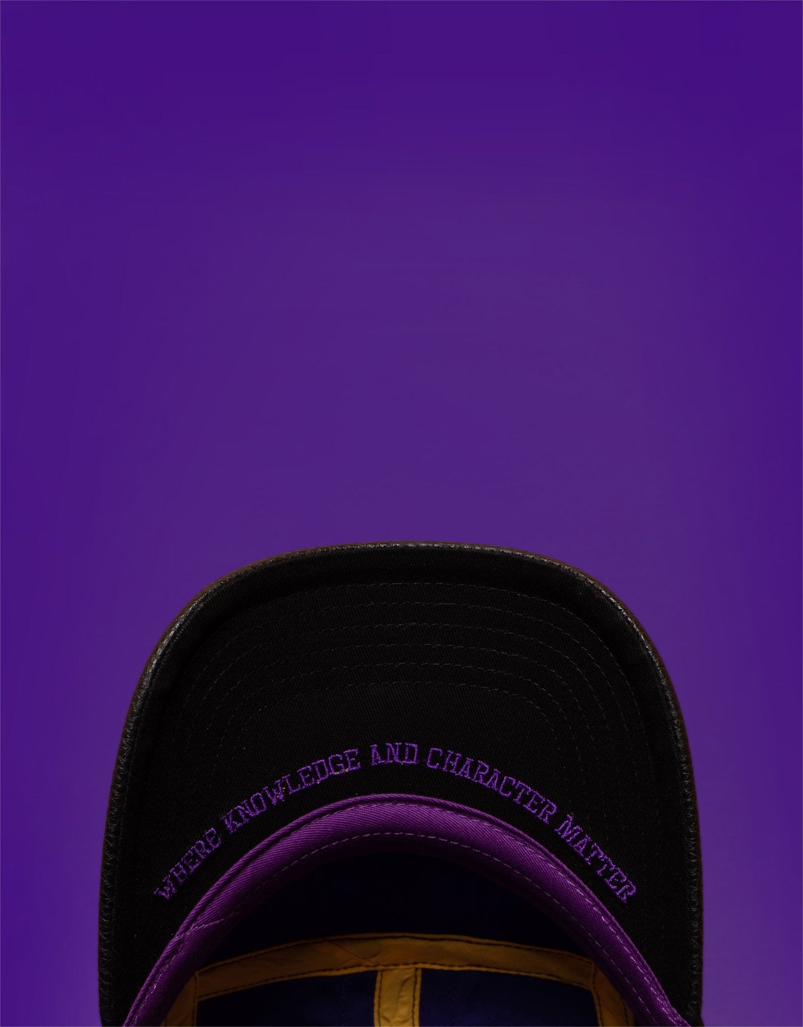 Dungeon Forward - Alcorn State University - HBCU Hat - TheYard Blackou ...